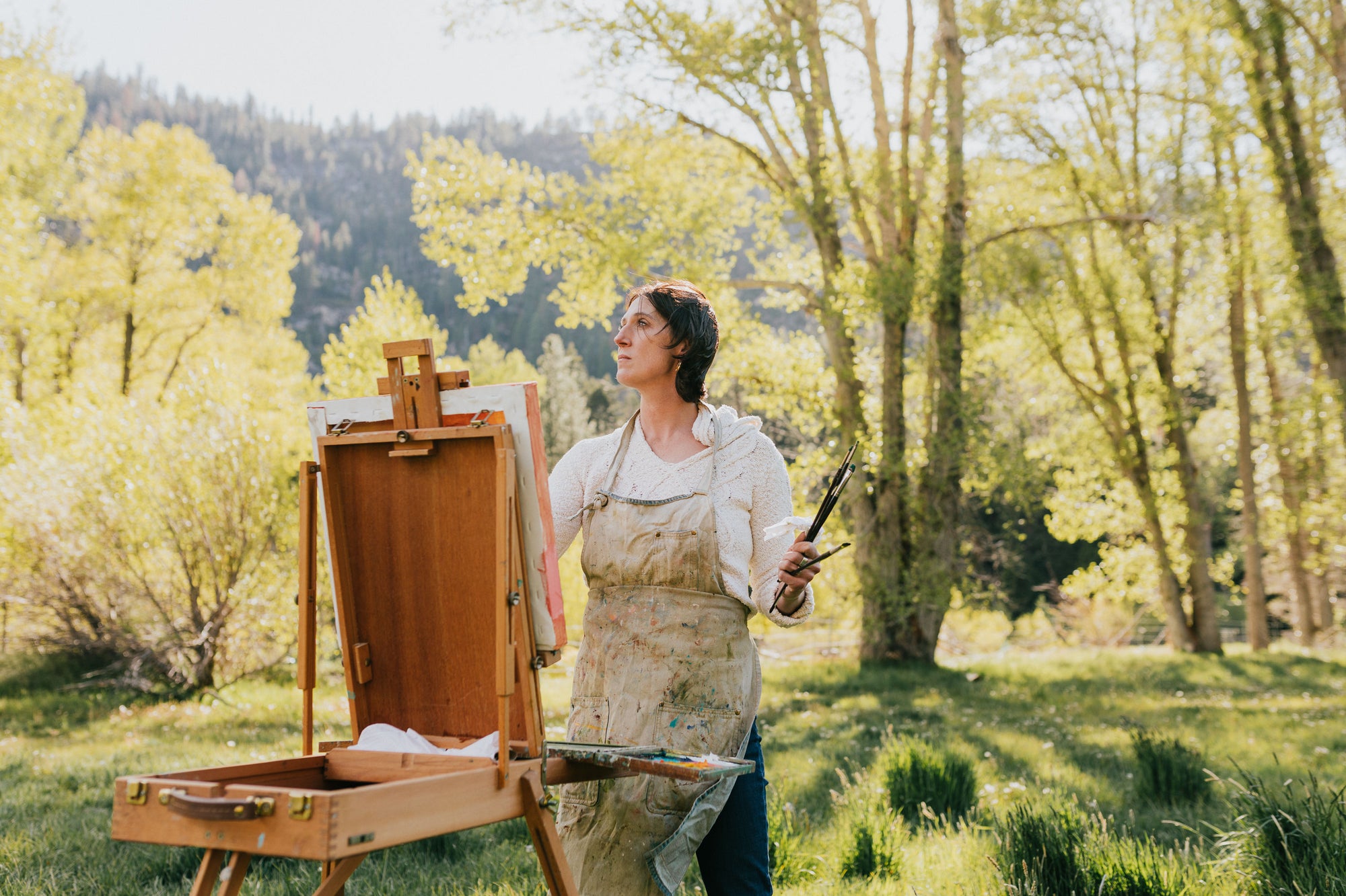 Contemporary California oil landscape paintings by Liana Steinmetz.