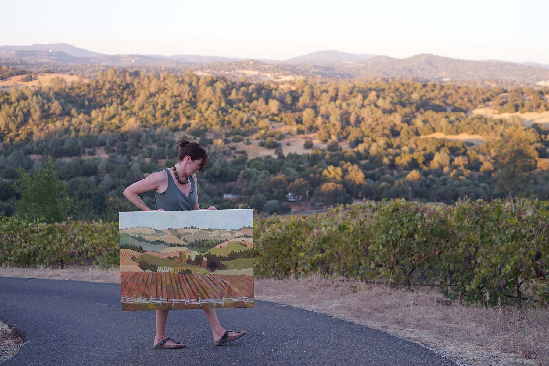 Contemporary California oil landscape paintings by Liana Steinmetz.